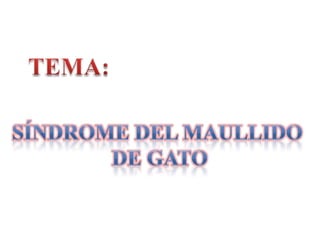 Sindrome del maullido de gato por Cristhian Román, Yolanda Pila ...