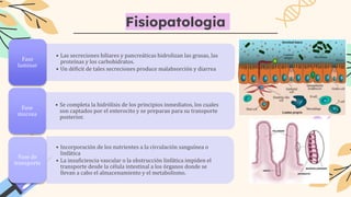 Sindrome de mala absorcion.pptx