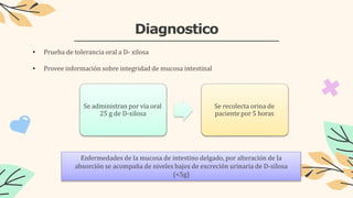 SINDROME DE MALA ABSORCION .pptx