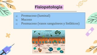 SINDROME DE MALA ABSORCION .pptx