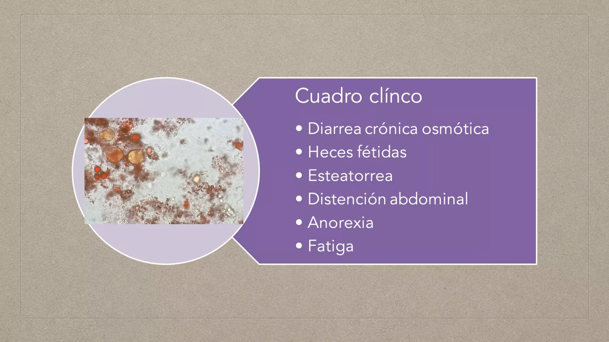 Sindrome de mala absorcion intestinal | PPT | Descarga Gratuita