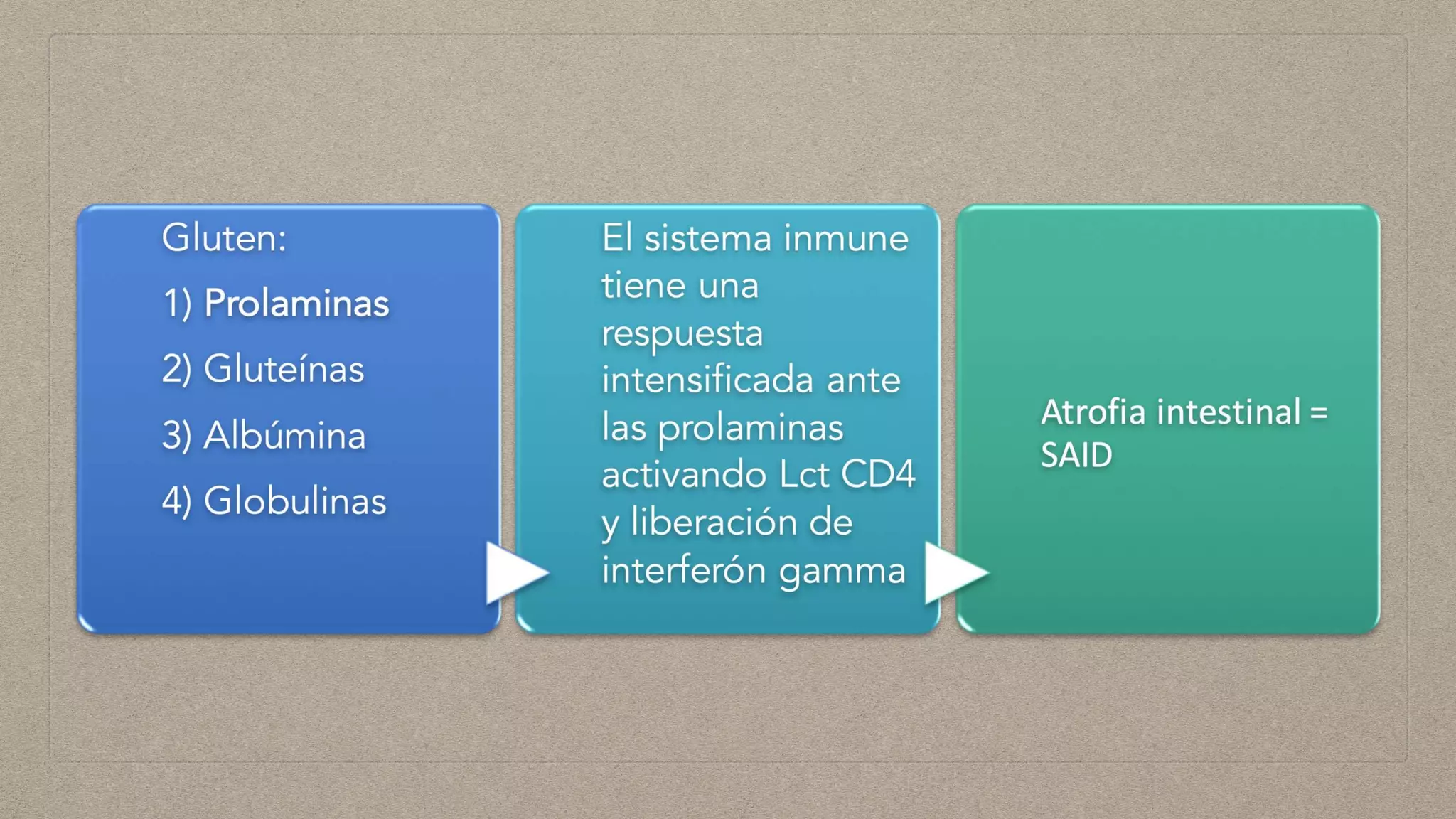 Sindrome de mala absorcion intestinal | PPT | Descarga Gratuita