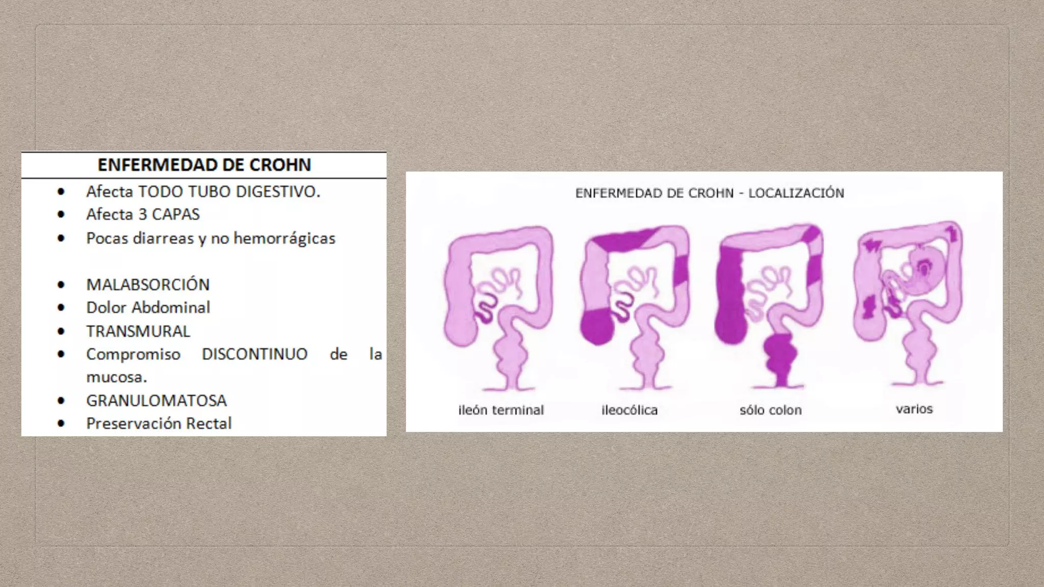 Sindrome de mala absorcion intestinal | PPT | Descarga Gratuita