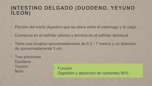 Sindrome de mala absorcion intestinal | PPT