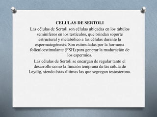 Síndrome de Sertoli | PPTX