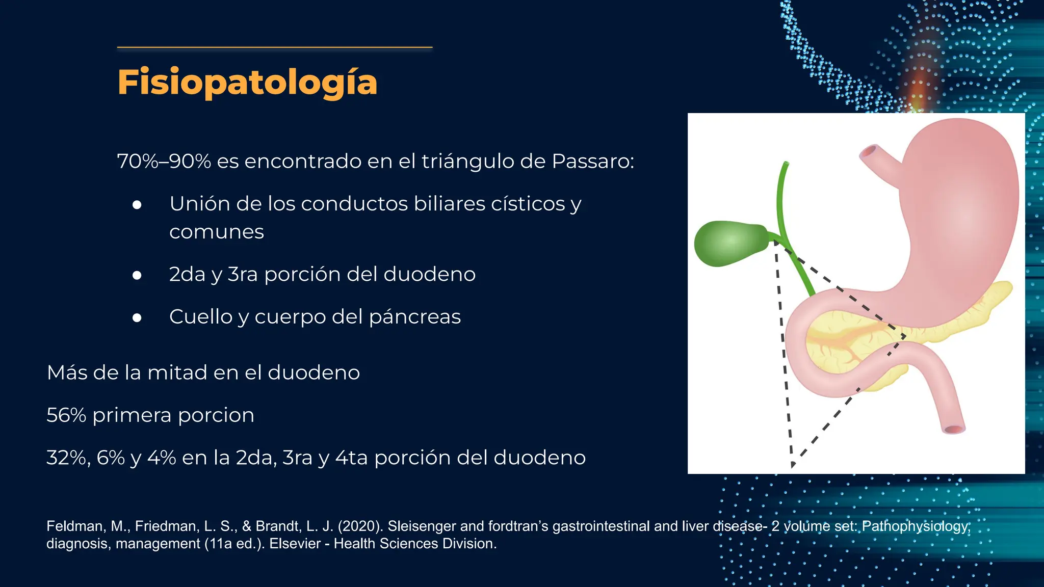 Sindrome de ZOLLINGER-ELLISON diagnóstico | PDF
