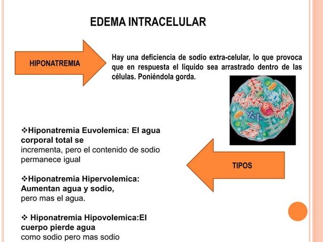 Sindrome Edematoso | PPTX | Medical Health