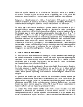 Sindrome gerstmann | DOCX