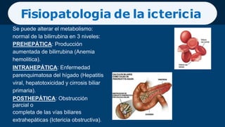 Sindrome icterico obstructivo manejo y tratamiento | PPTX