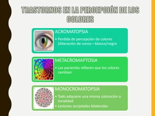 SINDROME LOBAR.pptx