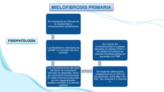 SINDROME MIELOPROLIFERATIVO actualizados | PPTX