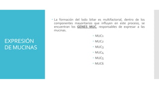 Sindrome obstructivo biliar | PPTX