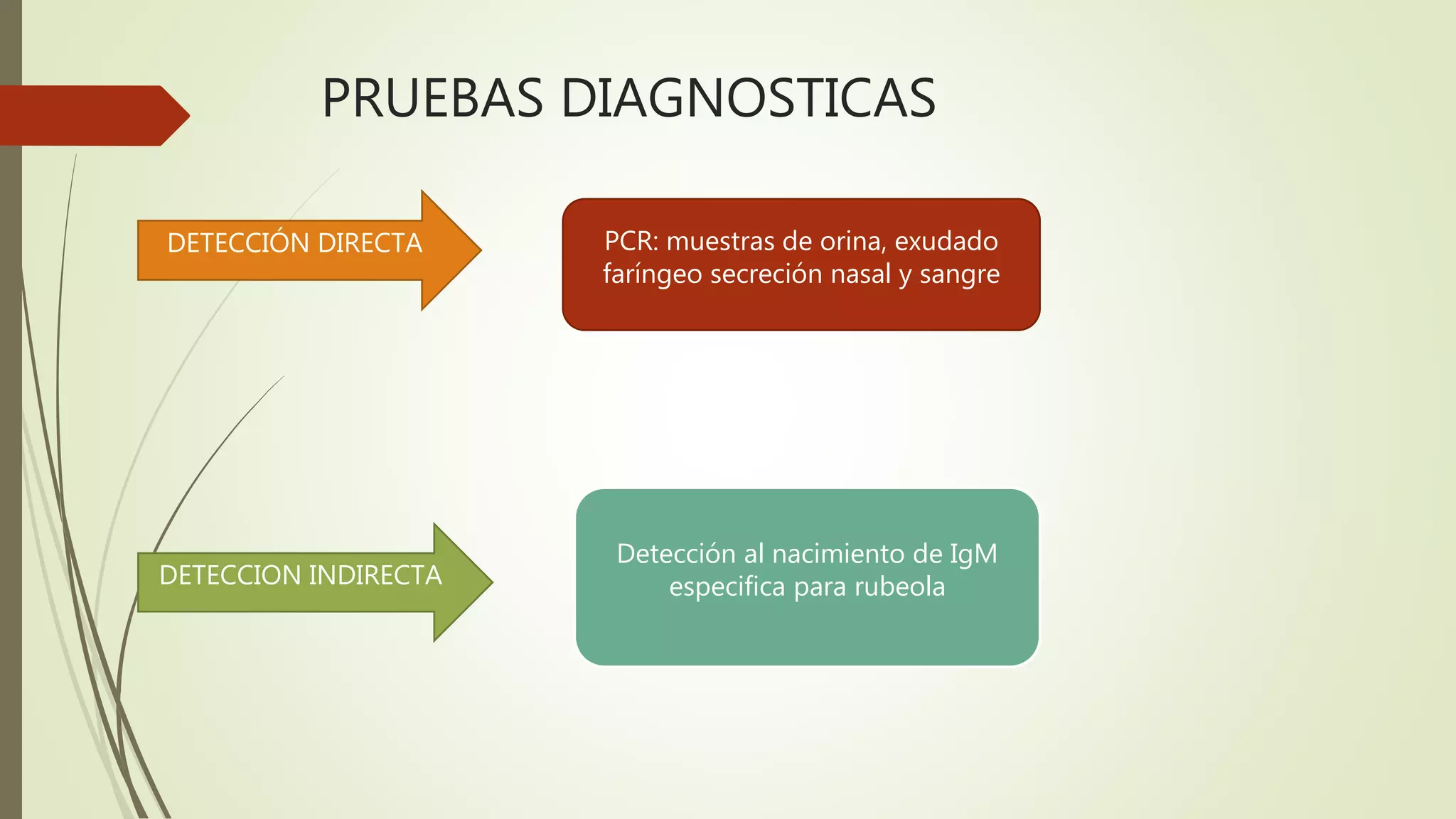 Sindrome Rubeola congénita | PPT