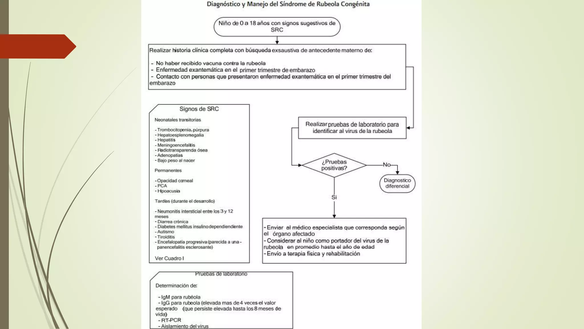 Sindrome Rubeola congénita | PPT