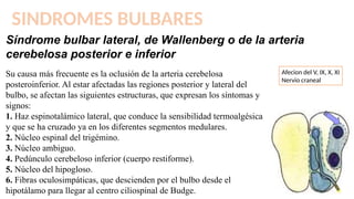 Sindromes alternos del tronco del encefalo.pptx