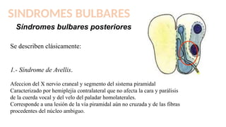 Sindromes alternos del tronco del encefalo.pptx