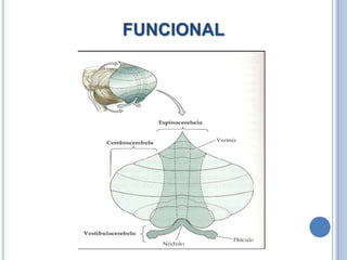 Sindromes Cerebelosos | PPTX