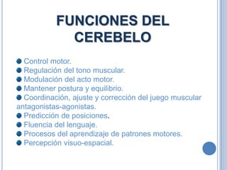 Sindromes Cerebelosos | PPTX