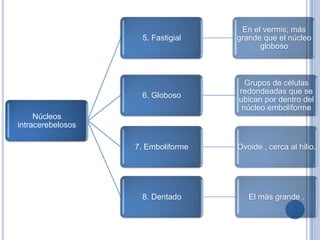 Sindromes Cerebelosos | PPTX