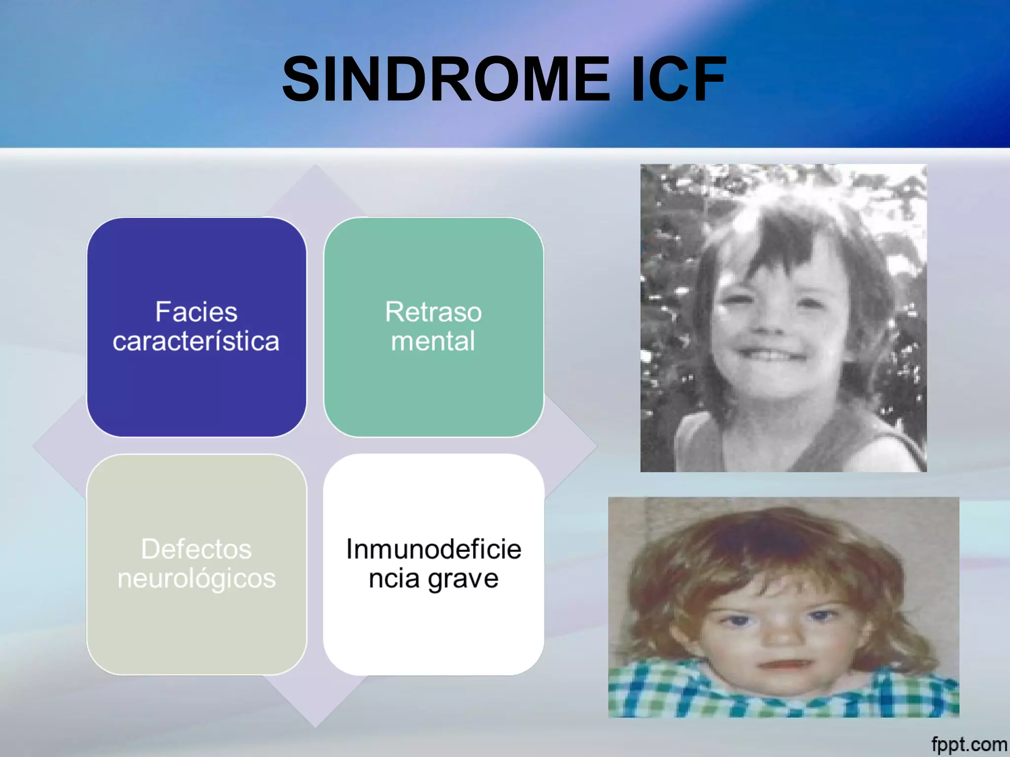 Sindromes de inestabilidad cromosomica. | PPT