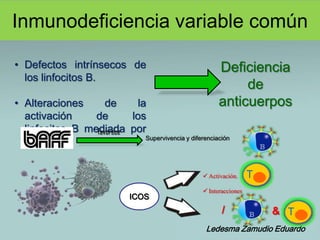 Sindromes de inmunodeficiencia | PPTX