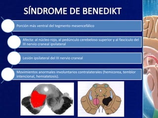 Síndromes del tronco cerebral | PPTX