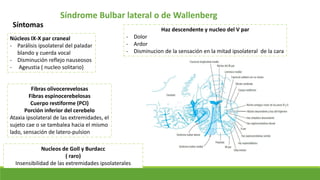 Sindromes de tallo cerebral | PPTX