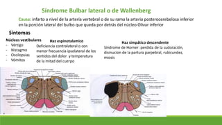 Sindromes de tallo cerebral | PPTX