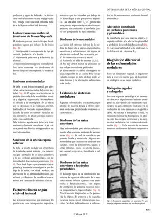 Sindromes medulares | PDF