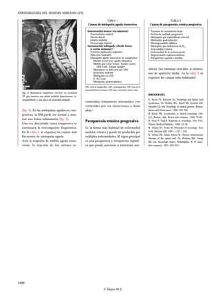 Sindromes medulares | PDF