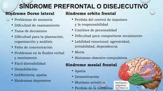Sindromes neurologicos | PPTX