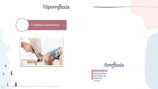 SINDROMES NEUROPÁTICOS.pptx