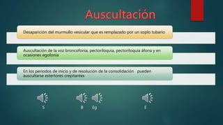 Sindromes_parenquimatosos.pptxmedicinaucv | PPTX