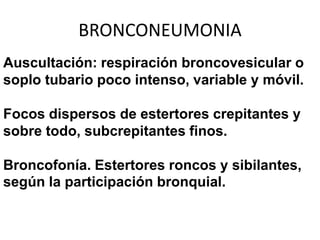 Síndromes pleuropulmonares (Semiología) | PPTX