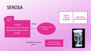 Sindromes pulmonares | PPTX