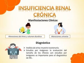 SINDROMES RENALES SEMIOLOGIA MEDICAA.pdf