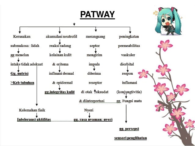 Sindrom steven johnson (ssj)