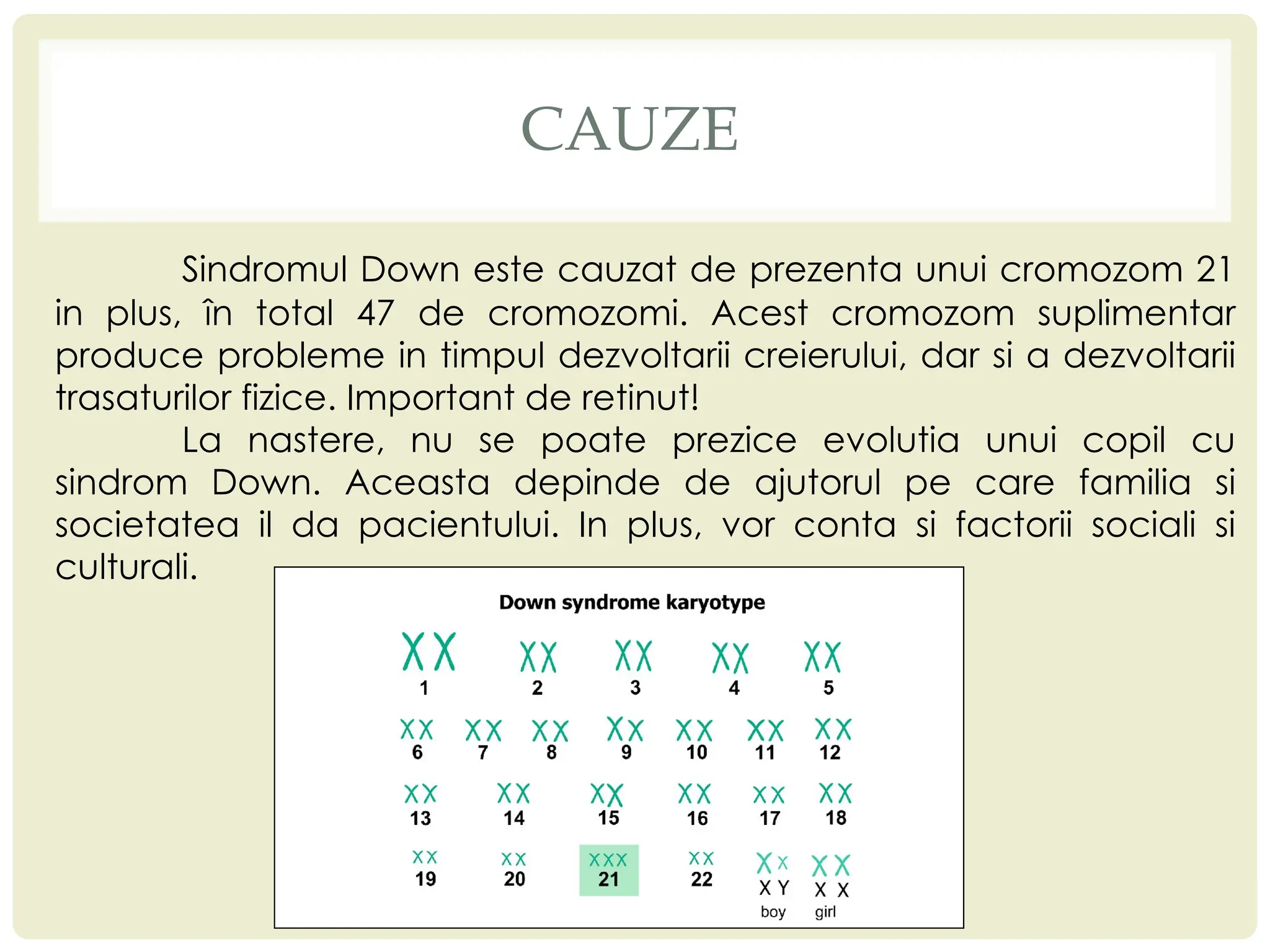 A school project about Down Syndrome Biology | PPTX
