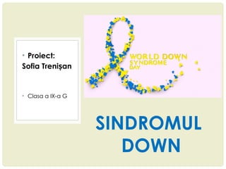 A school project about Down Syndrome Biology | PPTX