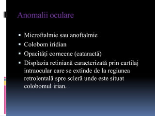 Sindromul patau | PPTX