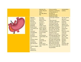 anatomia del cuerpo humano gastrointestinal.pdf