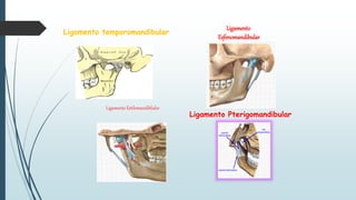 SINDROME DE COSTEN O SINDROME TEMPORO-MANDIBULAR.pptx