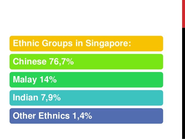 Ethnic Makeup Of Singapore | Makeupview.co