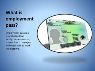 Singapore employment pass requirements | PPT