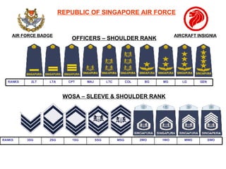 Singapore Air Force in Idaho | PPT