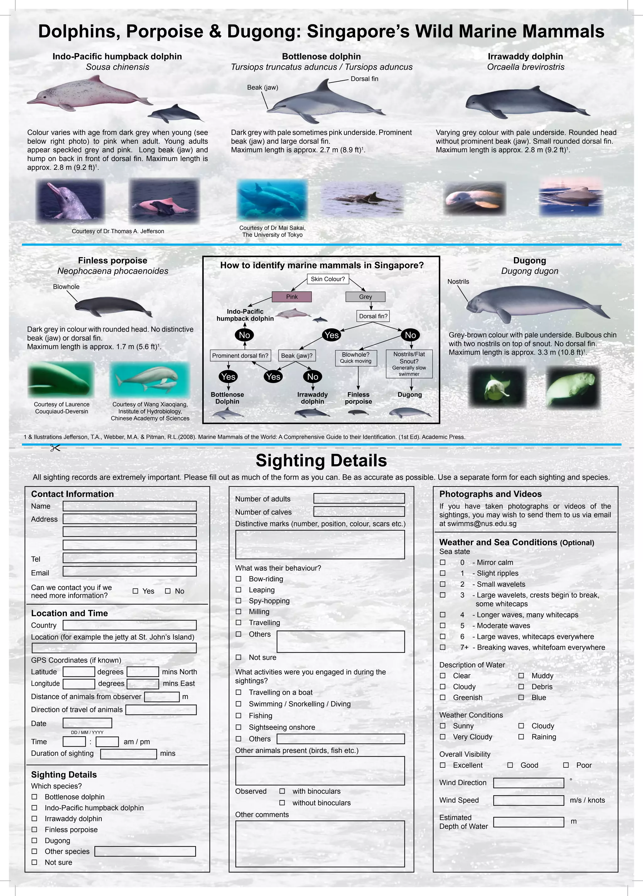 Singapore wild marine mammal survey (english brochure) | PDF
