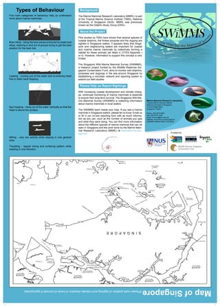 Singapore wild marine mammal survey (english brochure) | PDF