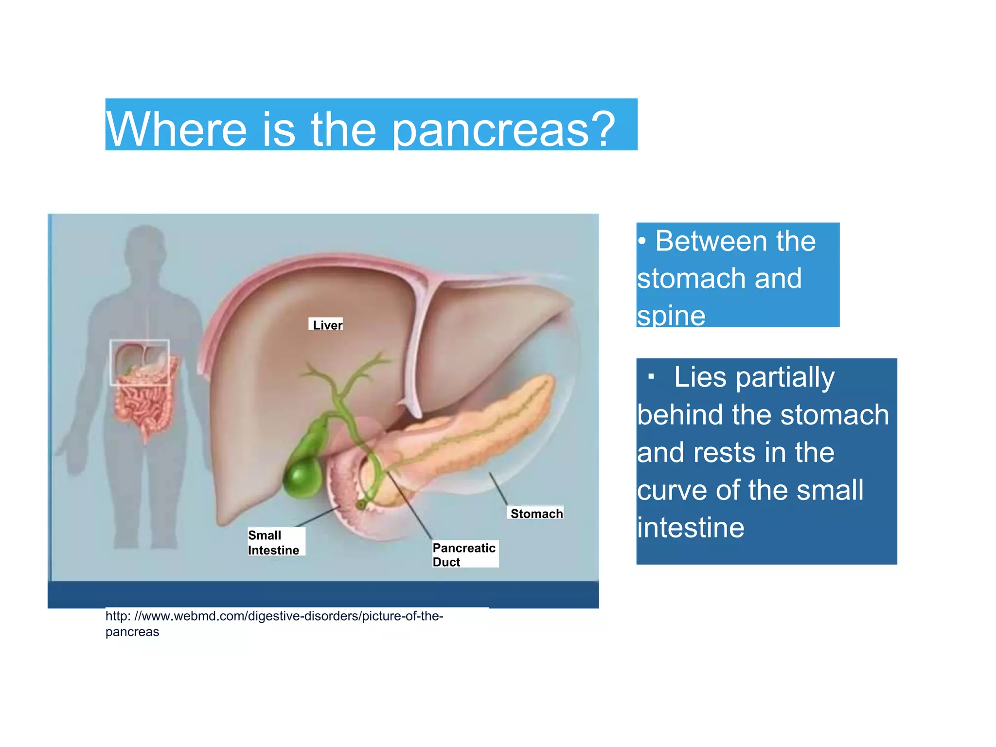 Singh Akash 413 treatment of pancreatic cancer.pptx