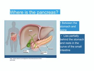Singh Akash 413 treatment of pancreatic cancer.pptx