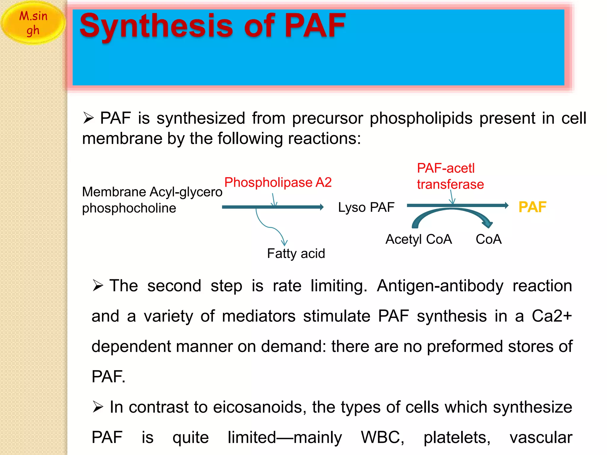 PLATELET ACTIVATING FACTOR | PPTX